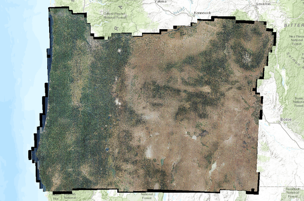Oregon NAIP Imagery 2011 True Color | Data Basin