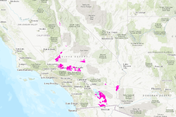 Development Focus Areas on Non-BLM Inholdings in the Designation, Alt ...