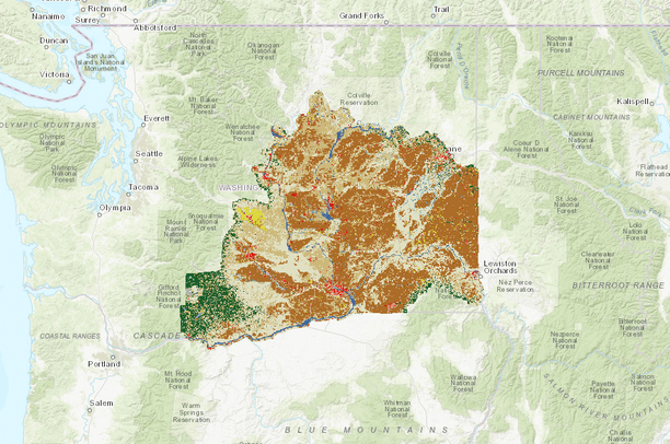National Land Cover (NLCD) 2019 for the Washington Columbia Plateau ...