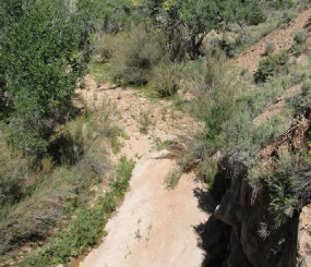 Modeling low streamflows and assessing the ecological impacts of ...