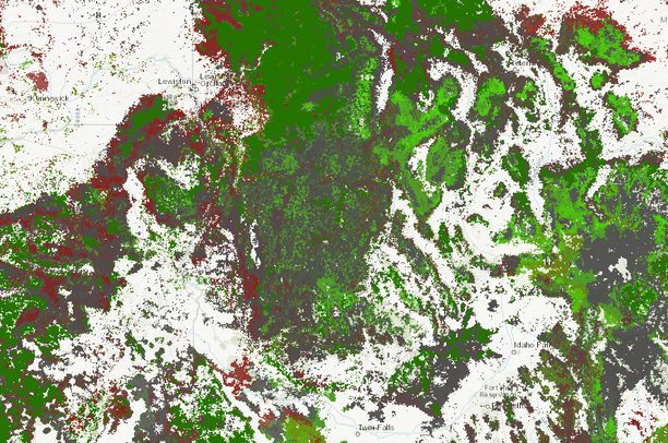 Tree species distribution map | Data Basin
