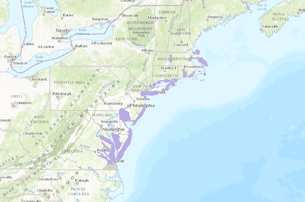 Waterbird Focus Areas, Bird Conservation Region 30, Northeast U.S ...