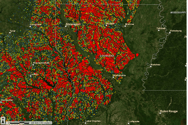 Open Pine Management DST in Louisiana | Data Basin