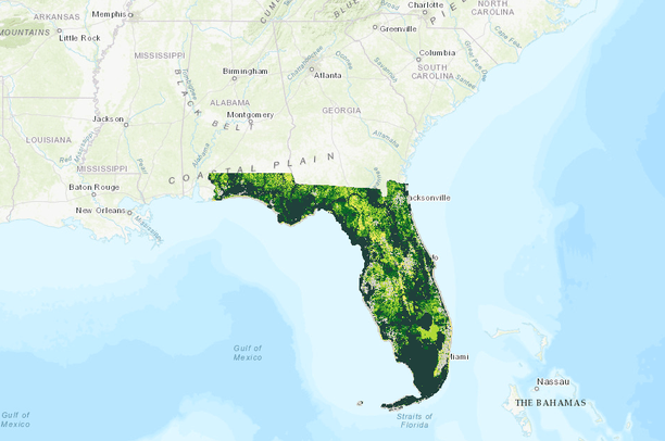 Florida Critical Lands and Waters Identification Project Database ...