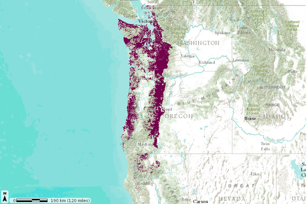 Soils with high volcanic content in the North Pacific Landscape ...