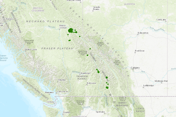 Conservation North Forest Plots in British Columbia | Data Basin