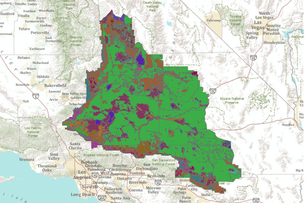 BLM West Mojave Plan Vegetation | Data Basin
