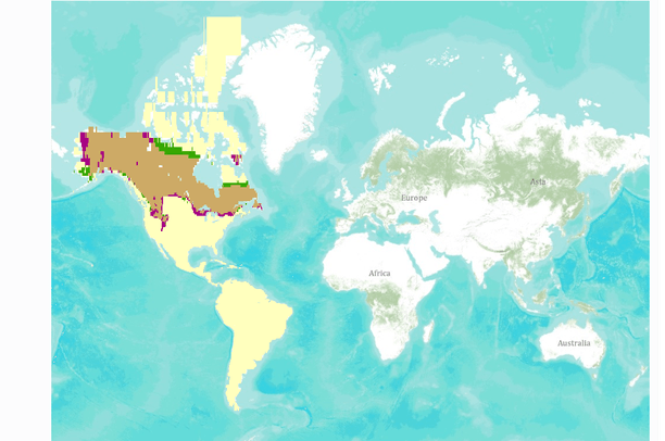 Modeling Climate Induced Range Shifts for the Lynx (Lynx canadae ...