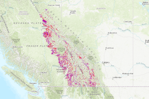 Combined Cut-blocks for Wetbelt Analysis, Inland BC | Data Basin