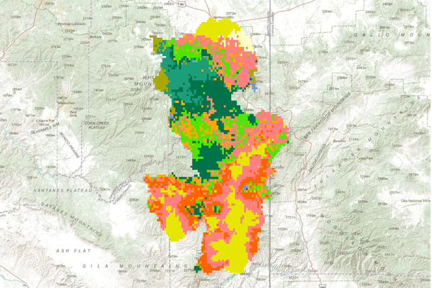 Simulated vegetation types (2071-2100) under CSIRO Mk3 A2 for the ...