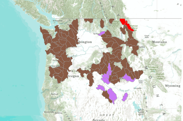 Shorthead sculpin (Cottus confusus) distribution and status by HUC8 ...