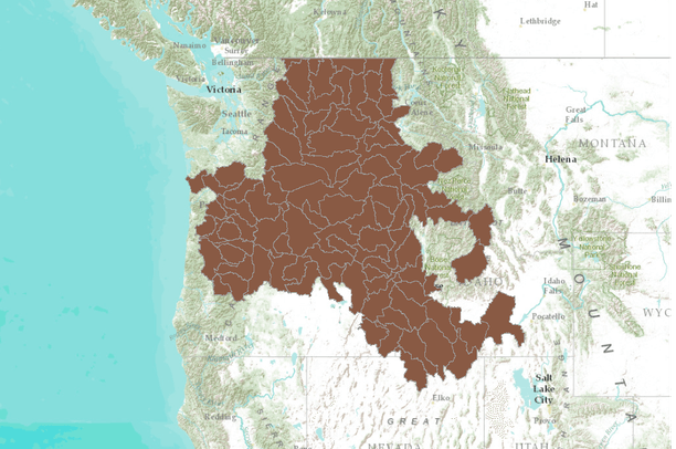 Chiselmouth (Acrocheilus alutaceus) distribution and status by HUC8 ...