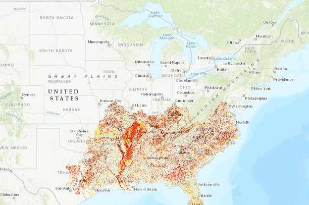 Reforestation 2030 | Data Basin