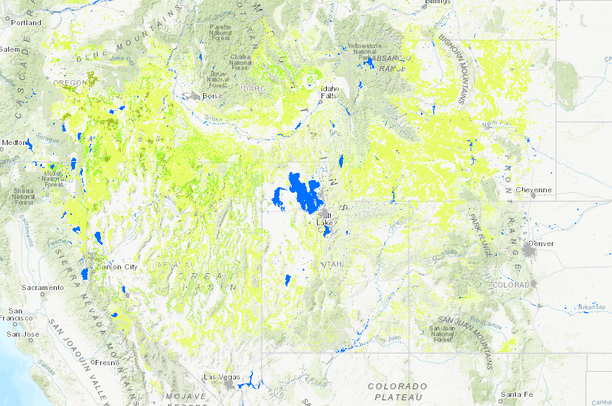 Sagebrush Scrub Plant Community | Data Basin