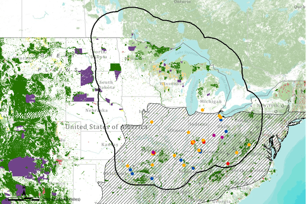 White-eyed Vireo - MAPS monitoring across USFWS Region 3 (Midwest ...