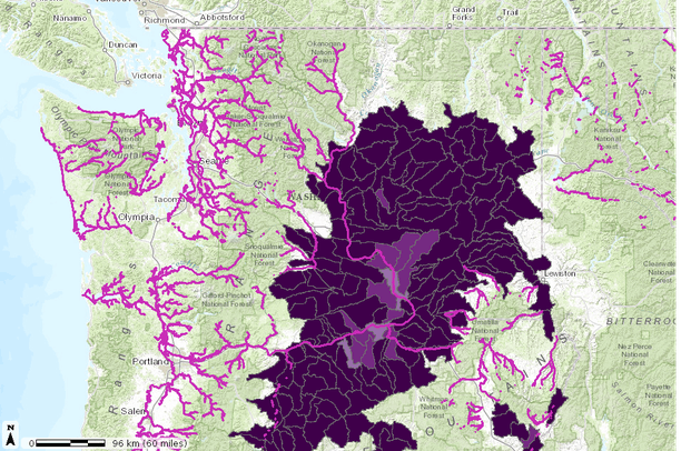 Tools Webinar: Fires, Fish, and Protected Areas | Data Basin