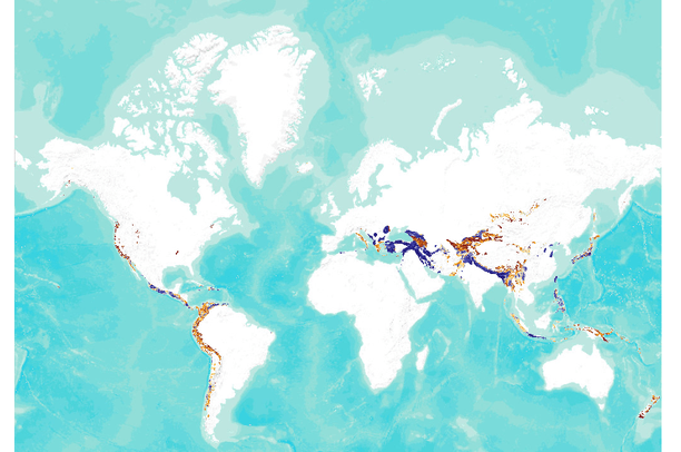 Global Earthquake Mortality Risks and Distribution | Data Basin