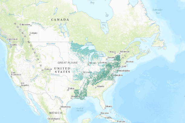 Green Infrastructure Networks | Data Basin
