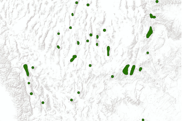 Intermountain bristlecone pine (Pinus longaeva) extent, North America ...