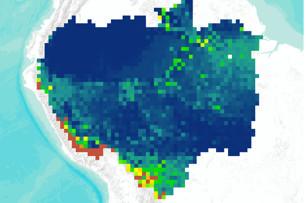 Percent change in above ground tree cover for the Amazon Basin under ...