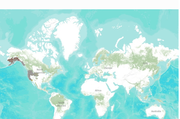 Rainbow trout (Oncorhynchus mykiss) distribution and status by HUC8 ...