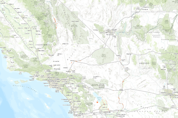 Southwestern North American Riparian/Wash Scrub - Natural Community ...