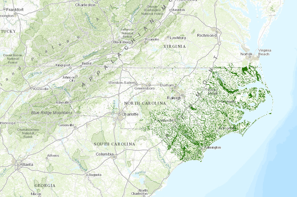 Wetland Forests of the Southeastern US | Galleries | Data Basin