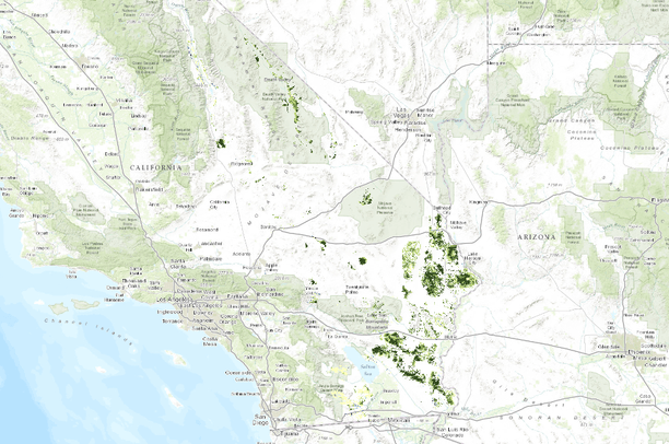 North American Warm Desert Bedrock Cliff and Outcrop - Habitat ...