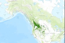 Larch Map | Data Basin