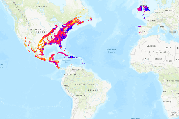 global cyclone economic | Data Basin