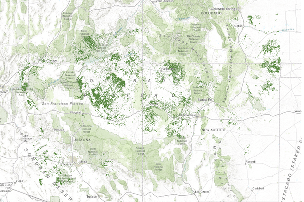 Shallow Soils (Depth