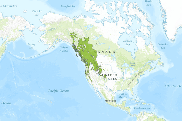 Lodgepole pine distribution | Data Basin