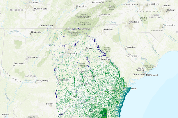 Georgia - National Wetlands Inventory - Version 2 - Surface Waters and ...