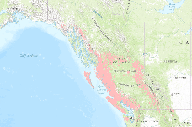 Yellow-cedar under B1 climate scenario by year 2080 | Data Basin