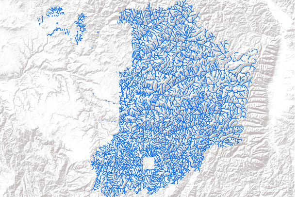 INFish / PACFish 300 ft buffer of perennial streams | Data Basin