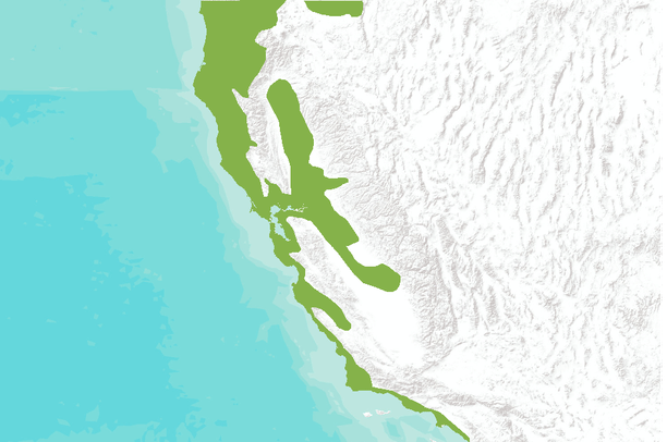 Pacific lamprey (Lampetra tridentata) distribution in California as of ...