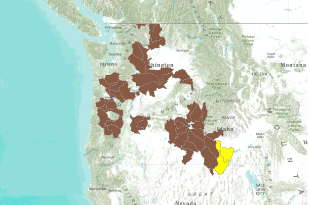 Leopard dace (Rhinichthys falcatus) distribution and status by HUC8 ...
