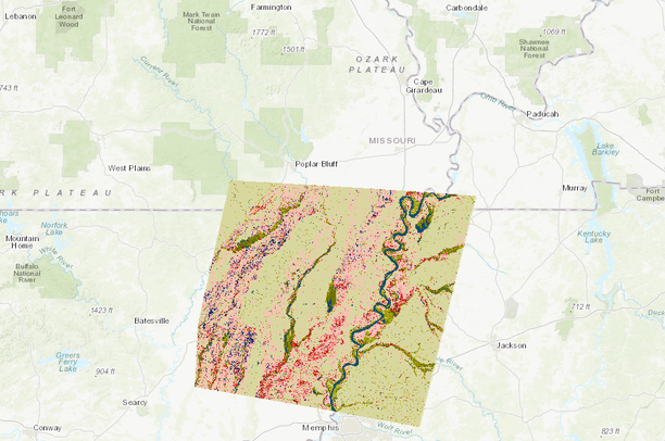 Alligator Gar HSI v1 - Western TN | Data Basin