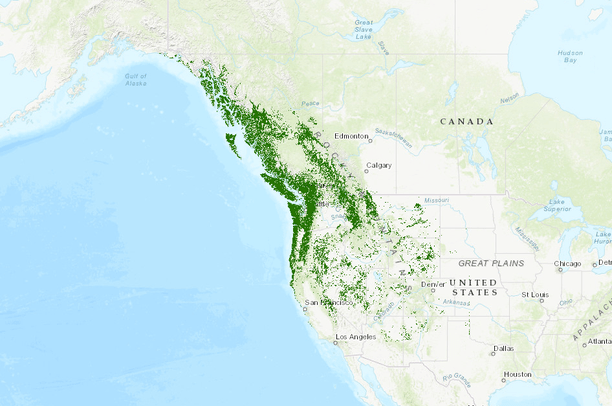 Western Red Cedar Population | Data Basin