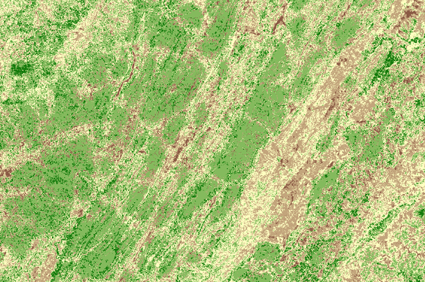 First test | Data Basin