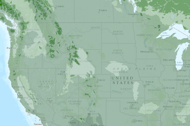 Bird Diversity and Intact Forests | Data Basin