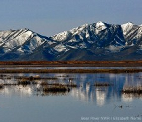Bear River Watershed Conservation Area: Conserving Wildlife Habitat on ...