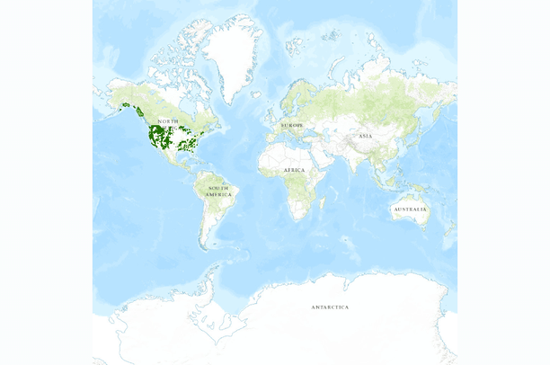 US Forest Service Datasets | Galleries | Data Basin