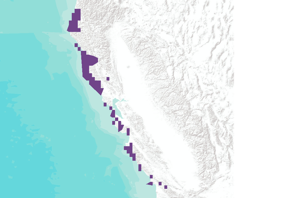 Predicted Distribution of Redwood (Sequoia sempervirens) - B1 emission ...