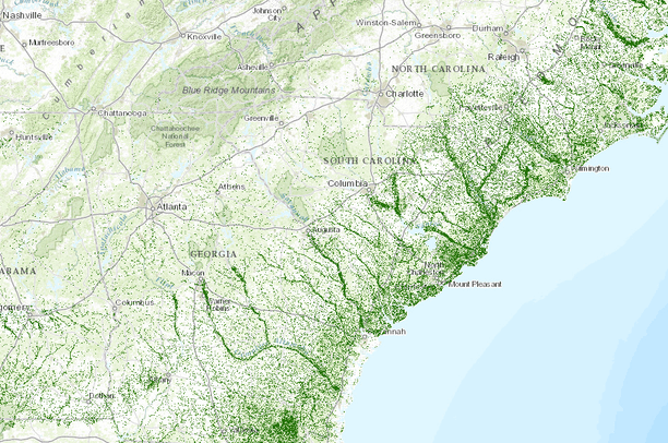 Wetland Forests of the Southeastern US | Data Basin
