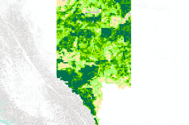 Canada's Forest Inventory (CanFI) 2001 for the boreal eco-region ...