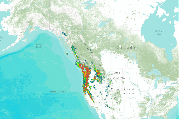 Modeled frequency and predicted range of noble fir (Abies procera ...