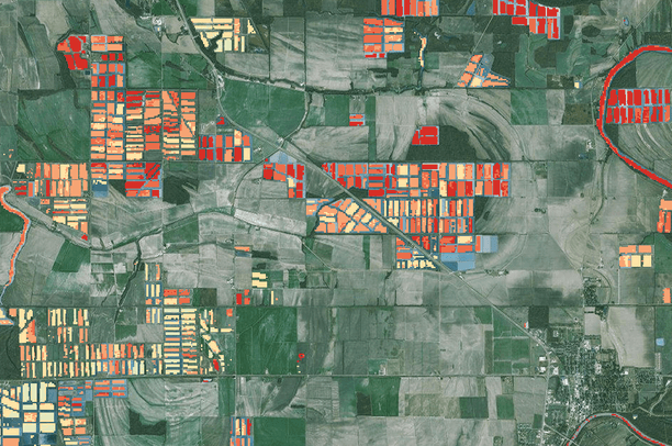 Yazoo Oxbows: DRAFT turbidity and depth | Data Basin