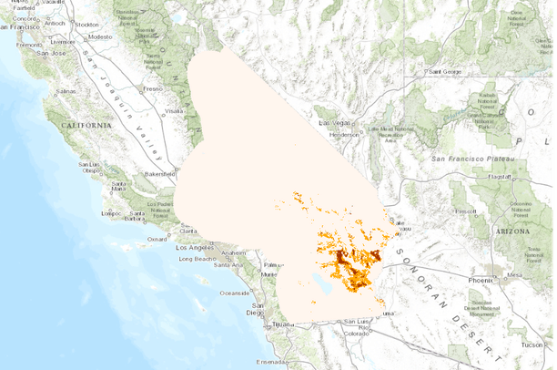 Alverson's foxtail cactus - UCSB Species Distribution Model, CA Desert ...