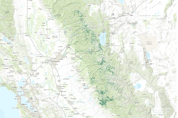 CWHR Habitat Type - Montane Chaparral, Central Sierra Nevada Zone ...